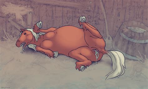 Rule 34 After Sex Animal Genitalia Animal Pussy Animated Anus Asuraa