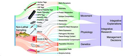 Conceptual Diagram Of Different Tagging And Tissue Sampling Methods