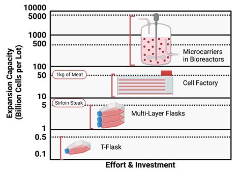What Are Microcarriers Smart Biomaterials And µ Solutions Smart Mcs
