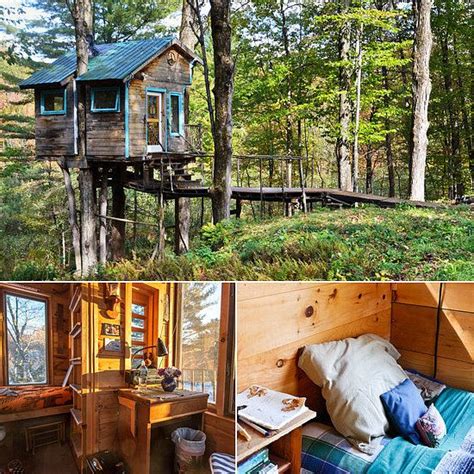 Best Images About Badass Treehouses On Pinterest House Tree Houses And Staircases