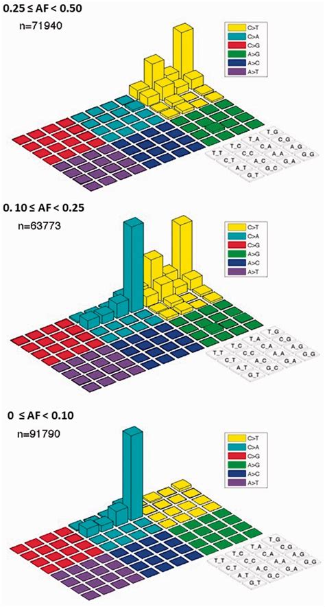Distribution Of Mutation Calls Across A Variety Of Base Motifs And