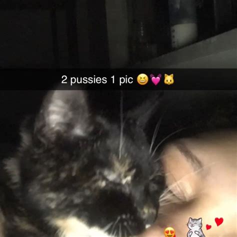 Kitty Kat 😽 Kittykatkittens Snapchat Stories Spotlight And Lenses