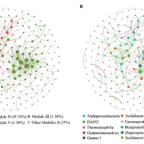 Co Occurrence Patterns Of Otus In Bacterial Communities Nodes Are
