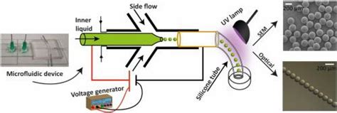 Coupling Electrohydrodynamics With Photopolymerization For Microfluidics Based Generation Of