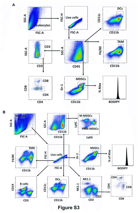 Flow Cytometry Plots Illustrating The Gating Strategy Used For