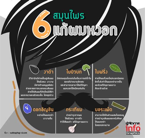 6 สมุนไพรแก้ผมหงอก