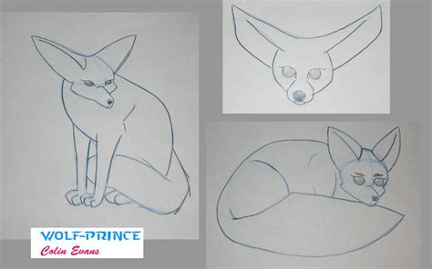 Fennec Fox Coloring Sheet