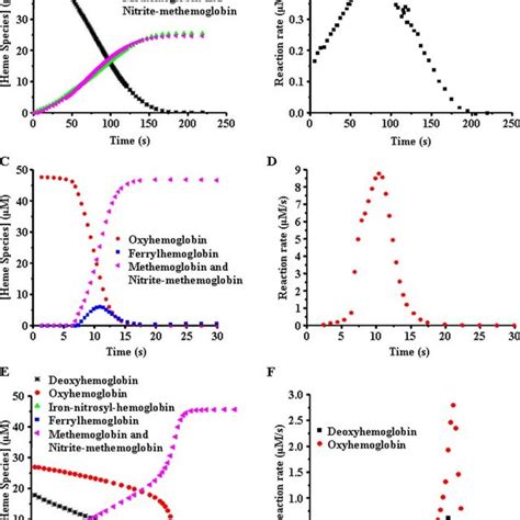 Nitric Oxide Is Released From Iron Nitrosyl Hemoglobin In A Hemoglobin Download Scientific