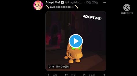 입양 하세요 할로윈 업데이트 Youtube