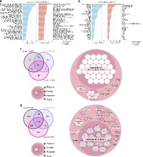 Computational Proteomic Analys Image Eurekalert Science News Releases