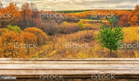 흐린 날에 필드와 숲과 언덕에서 저지대에 파노라마 보기의 흐린 그림 같은 가을 풍경과 빈 나무 테이블 디스플레이 또는 몽타주 제품에 대한 모의 0명에 대한 스톡 사진 및