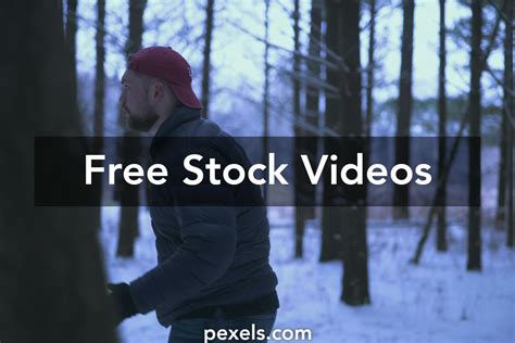 Belledelphineintheforest Videos Download The Best Free 4k Stock