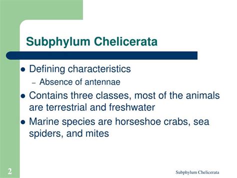 Ppt Subphylum Chelicerata Powerpoint Presentation Id 156050