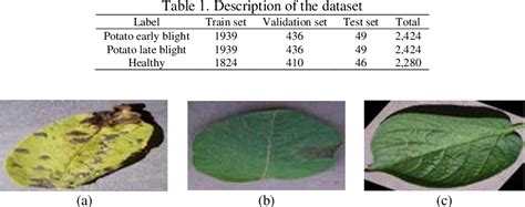 Table 1 From Potato Leaf Disease Detection Through Ensemble Average Deep Learning Model And
