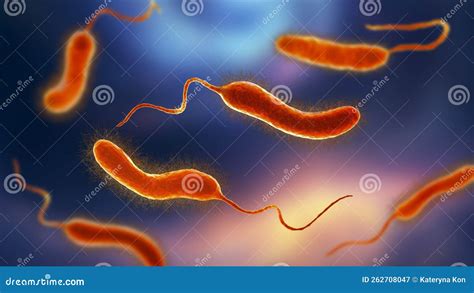 Vibrio Mimicus Bacteria Royalty Free Illustration
