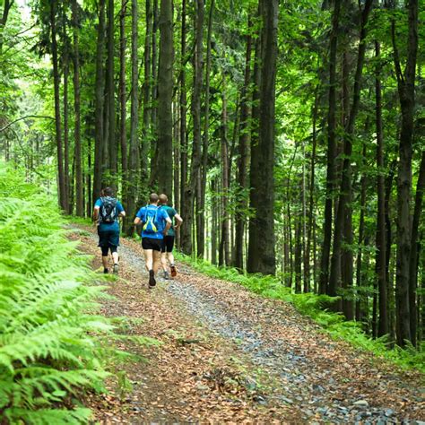 Optimizing Automated Insulin Delivery During Exercise Key Insights From ADA Scientific Sessions