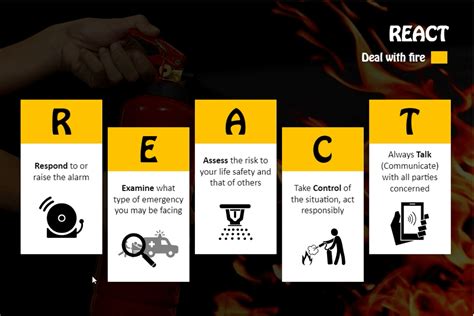 5 Best Elearning Examples For Your Course Development