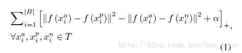 论文水记how To Train Triplet Networks With 100k Identities Csdn博客