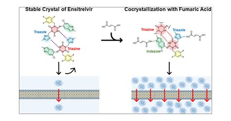 Cocrystallization Enables Ensitrelvir To Overcome Anomalous Low