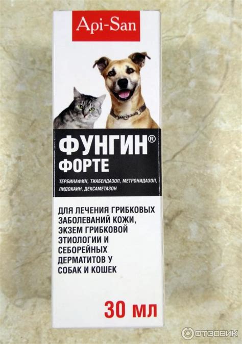 Фунгин Форте: инструкция по применению для кошек, отзывы, аналоги
