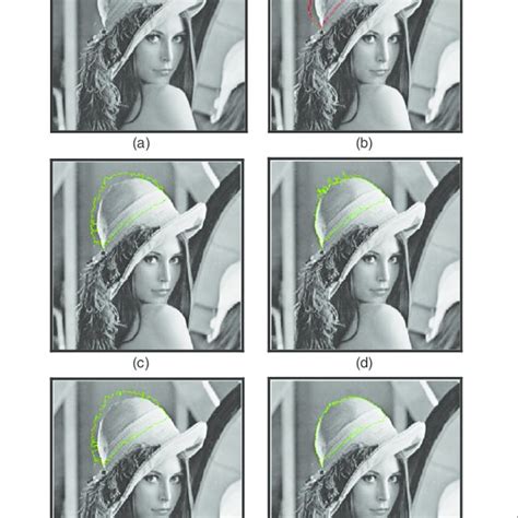 Types Of Surface Irregularities 1 Download Scientific Diagram