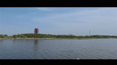 Yt2006 Shy Stone Peninsula Bondage Clips4sale