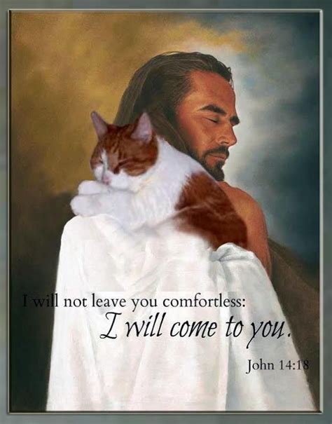Jesus Statue Holding Cat At Emma Wilhelm Blog