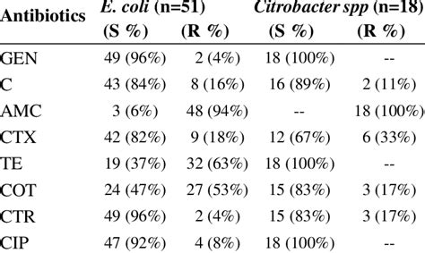 Antibiotic Susceptibility Pattern Of E Coli And Citrobacter Spp Download Scientific Diagram