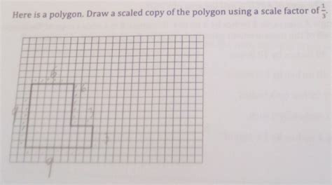 Solved Here Is A Polygon Draw A Scaled Copy Of The Polygon Using A