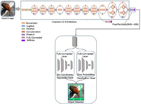 Figure 4 From A Deep Learning Model For Real Time Red Palm Weevil Detection And Localization