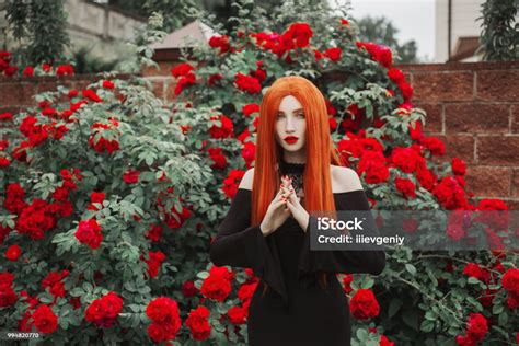 유행 할로윈 옷입니다 여름 바탕에 검은 드레스에 붉은 입술으로 젊은 고딕 소녀 장미 부시의 배경에 빨강 머리 창백한 뱀파이어입니다 세련 된 여자입니다 할로윈의 상에 개인