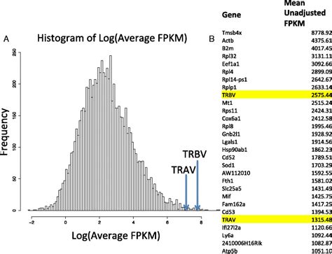 Expression Of Tcr Alpha And Beta Chain Variable Gene Transcripts
