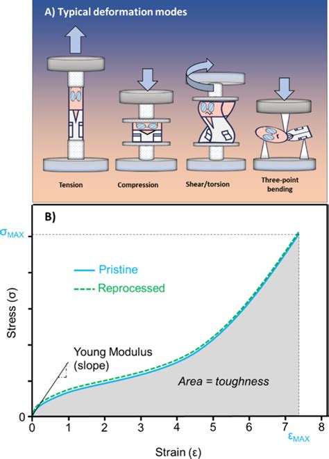 How To Characterize Covalent Adaptable Networks A User Guide Acs Polymers Au