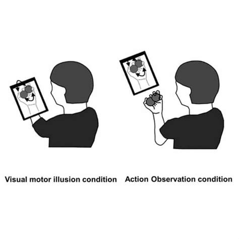 Visual Aids Can Improve Motor Performance