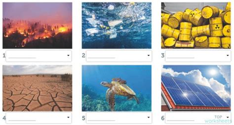 Lesson 5a Vocabulary Practice Interactive Worksheet Topworksheets