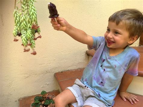 Plants Heal Blog Medical Mediums Heavy Metal Detox Smoothie