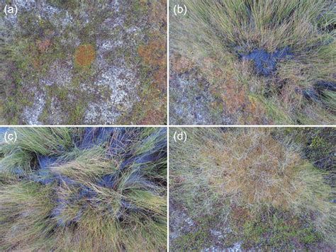 BG - Technical note: A simple approach for efficient collection of field reference data for ...