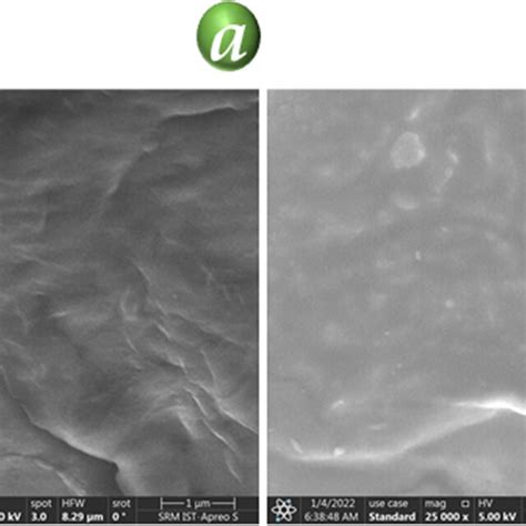 Sem Micrographs Of A Pure Polymer Blend And B Peo P Vdf Hfp 4 Wt Libr Download Scientific
