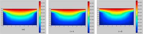 Temperature Distribution For α 0 0 In Three Different Times