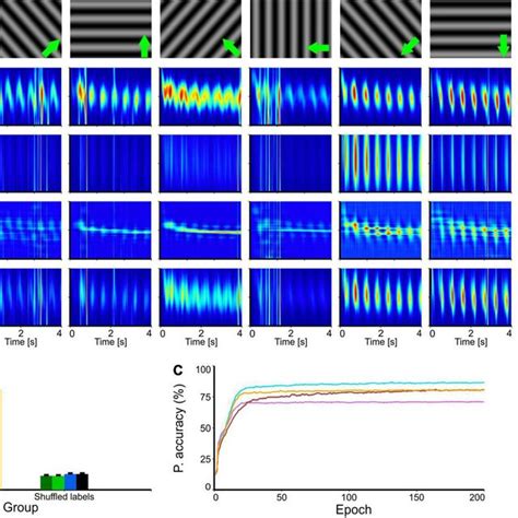 Intracranial Electrophysiology With Srcs Visual Stimulation Protocol Download Scientific