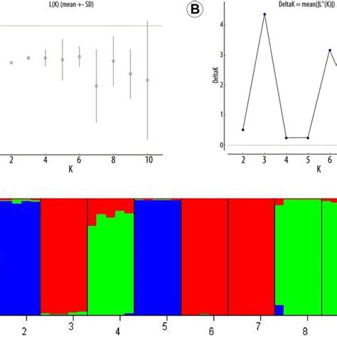 results of structure analysis showing three genotypes genetic