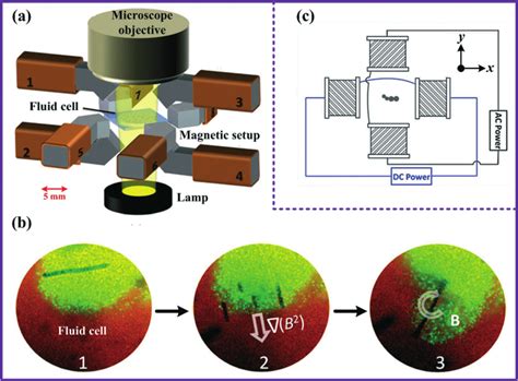 External Electromagnetic Setup For Generating Alternating Magnetic