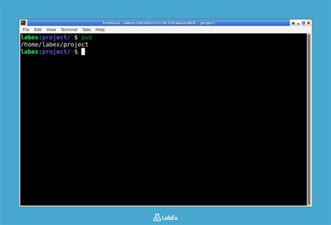 Edit Text Files With The Vi Editor In Linux LabEx