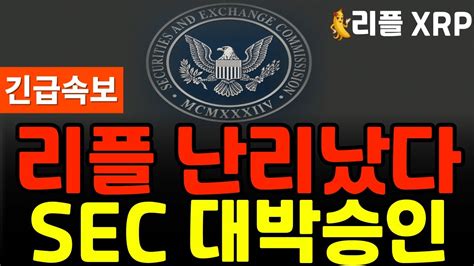 ※긴급속보※ 리플 난리났다 Sec 대박승인 오늘의코인뉴스 리플코인 Xrp 리플 Youtube