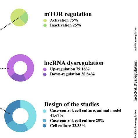 The Schematic View Of The Lncrna Associated Cerna Interaction Download Scientific Diagram