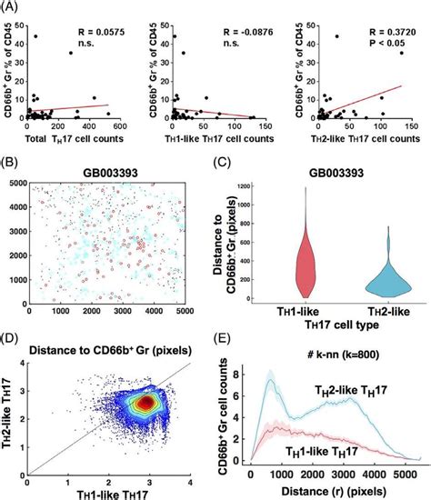 Image Cytometry With Robust Cell Segmentation Reveals T H 17 Associated