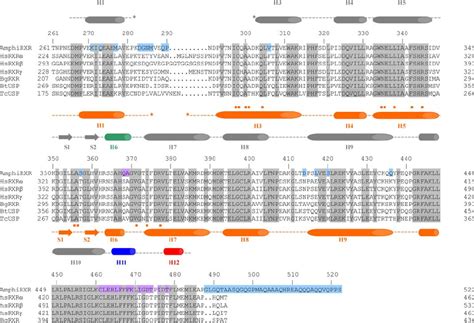 structure based sequence alignment of the lbd domain of amphirxr the