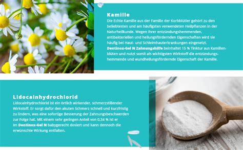 Dentinox N Gel 10g Teething Aid Amazonde Health And Personal Care