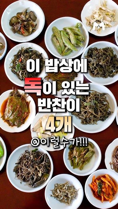 이 밥상에 독이 있는 반찬이 4개 메타웰영양제 카이브론 라메모아 리파포틴 일본영양제 일본영양제추천 장수 건강식단 건강정보 메타웰건강상식 고사리 다래순