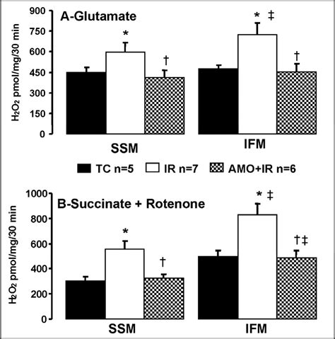 Blockade Of Electron Transport Before Ischemia Protects Mitochondria